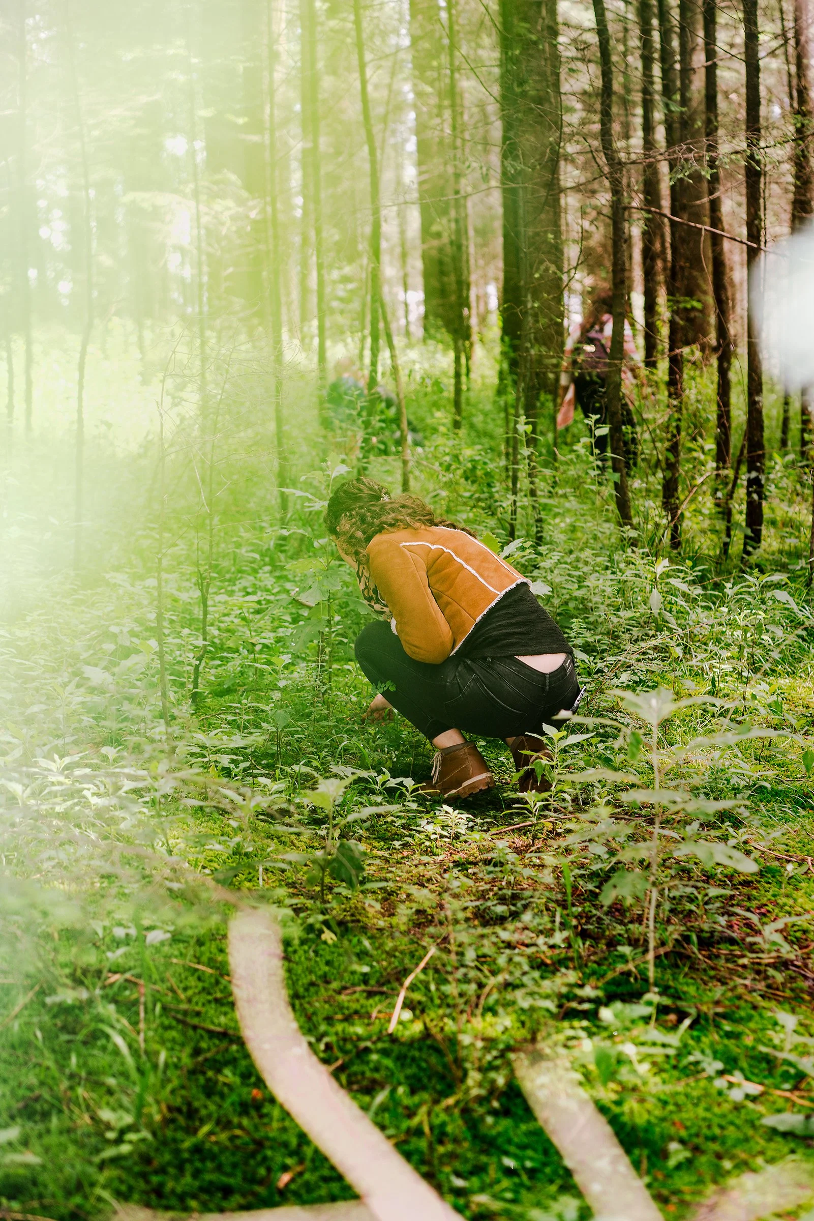 Commissions — Jake Naughton