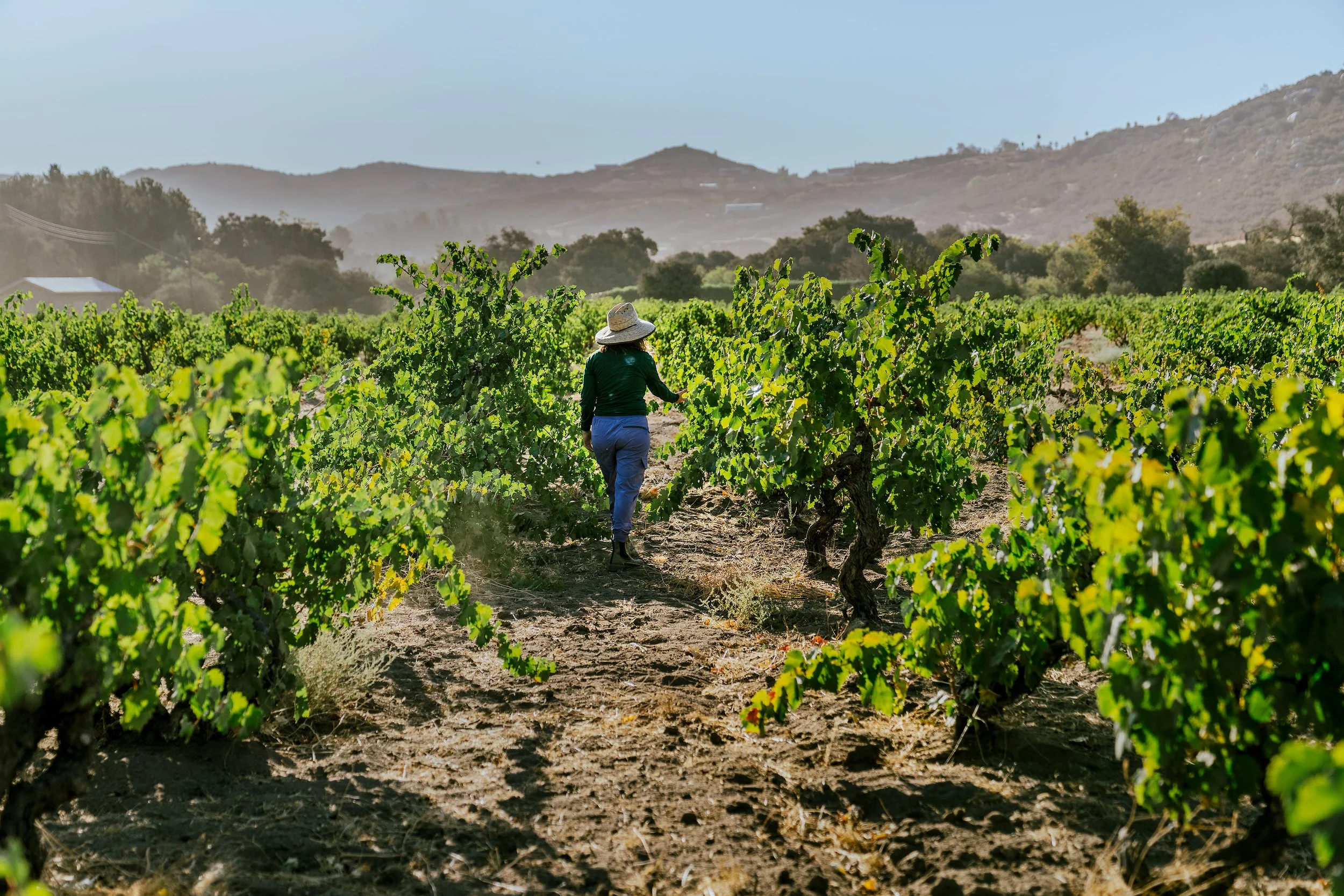 Commissions — Jake Naughton