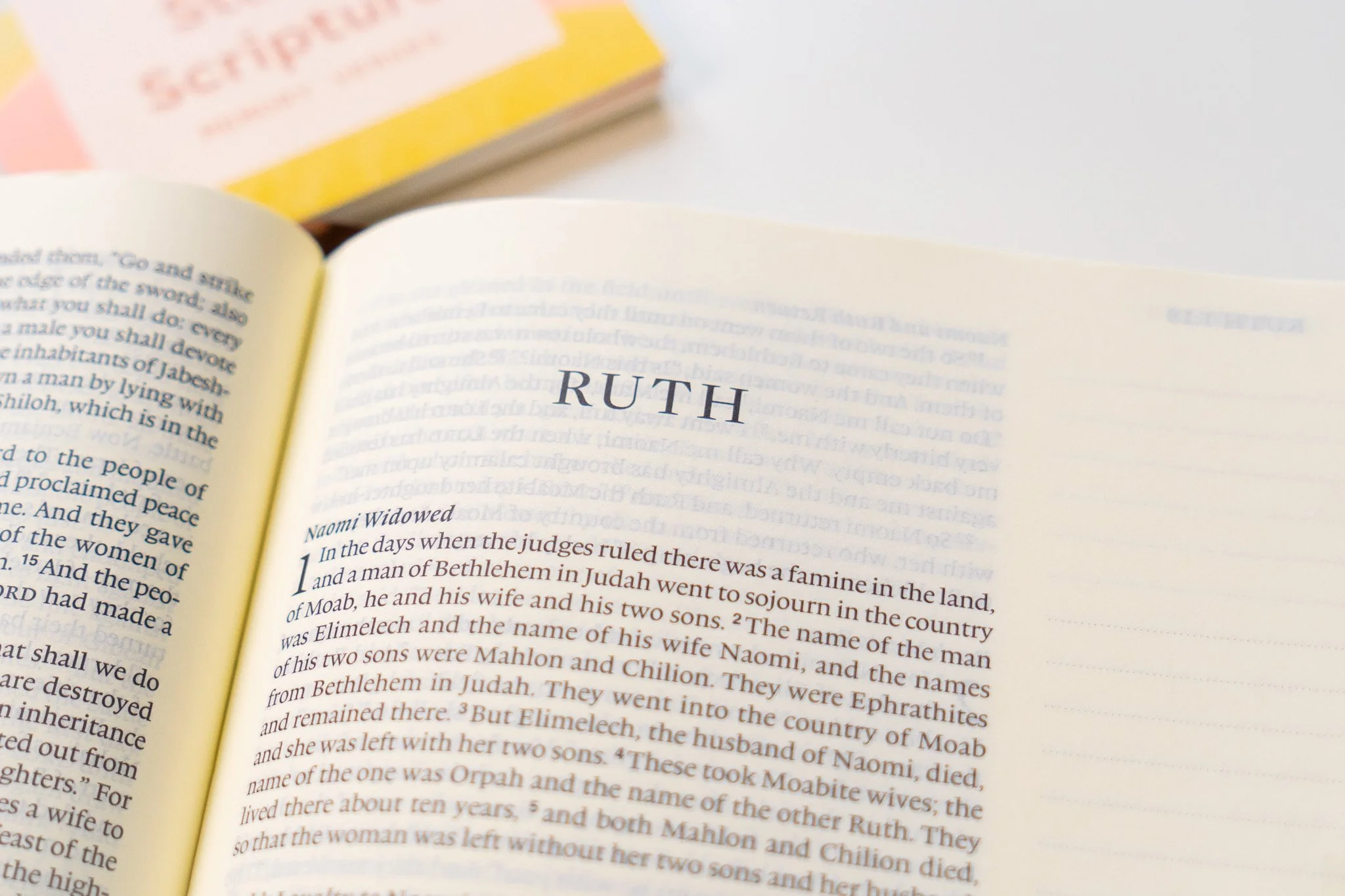 Things to Know About the Book of Ruth — Minted Truth