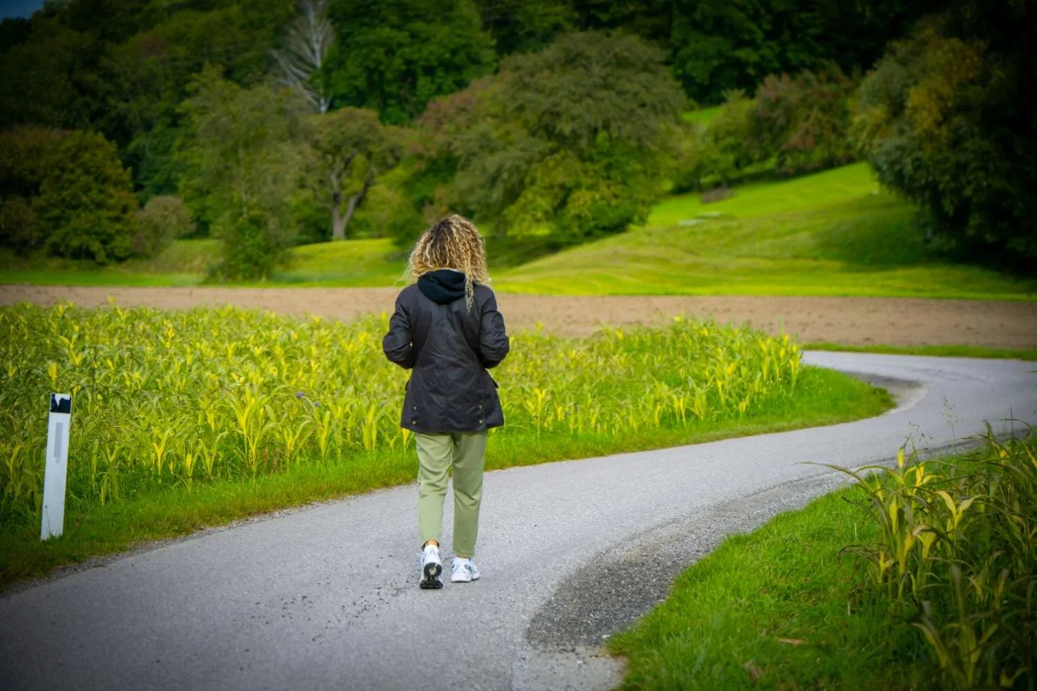 Mastering the Art of the Pause: Turn Arguments into Productive ...