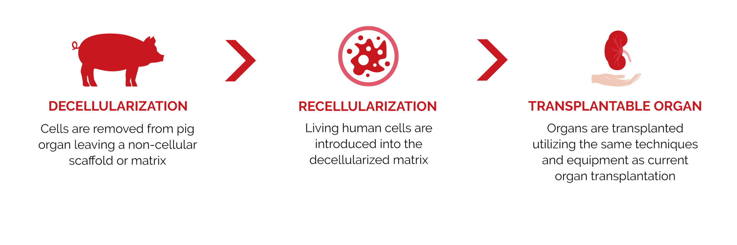 MIROMATRIX MEDICAL Inc