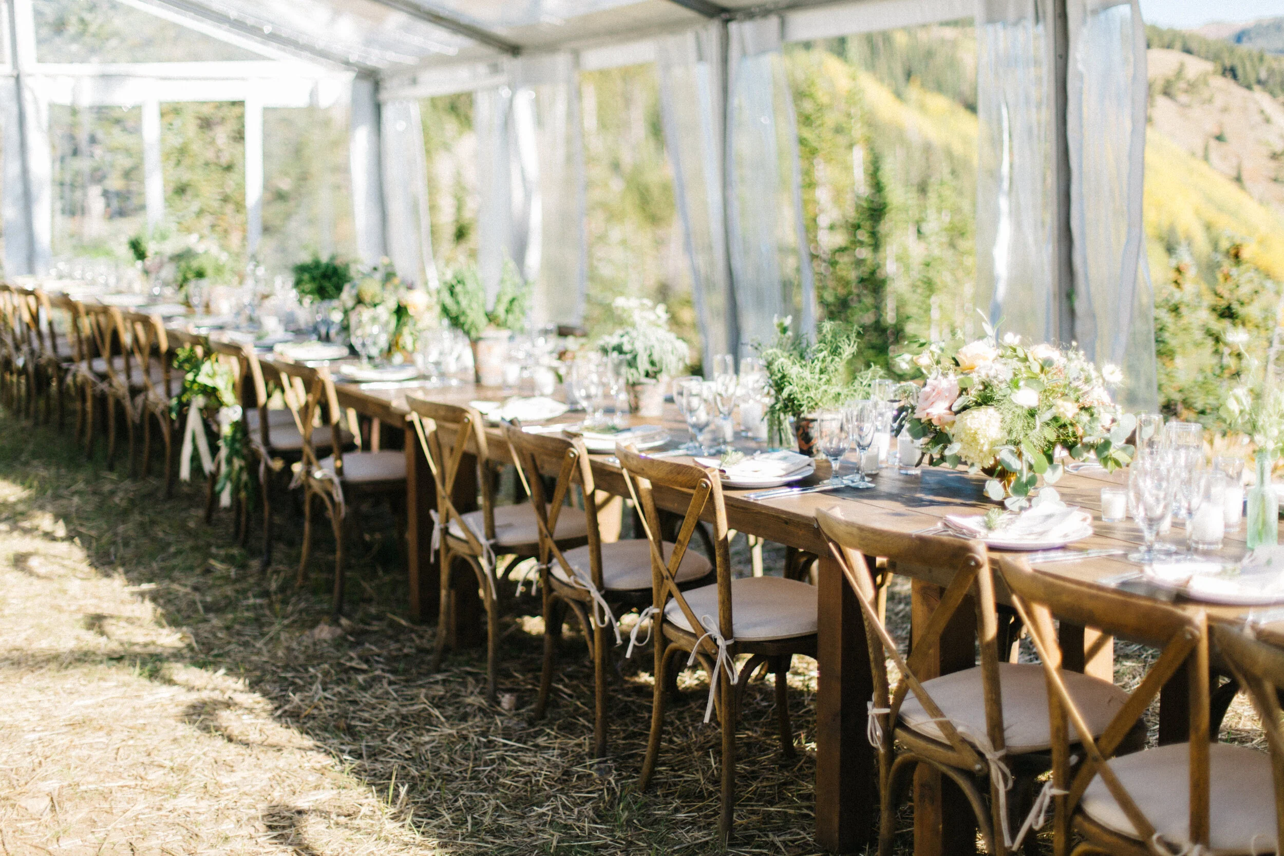 Premier Party Rental