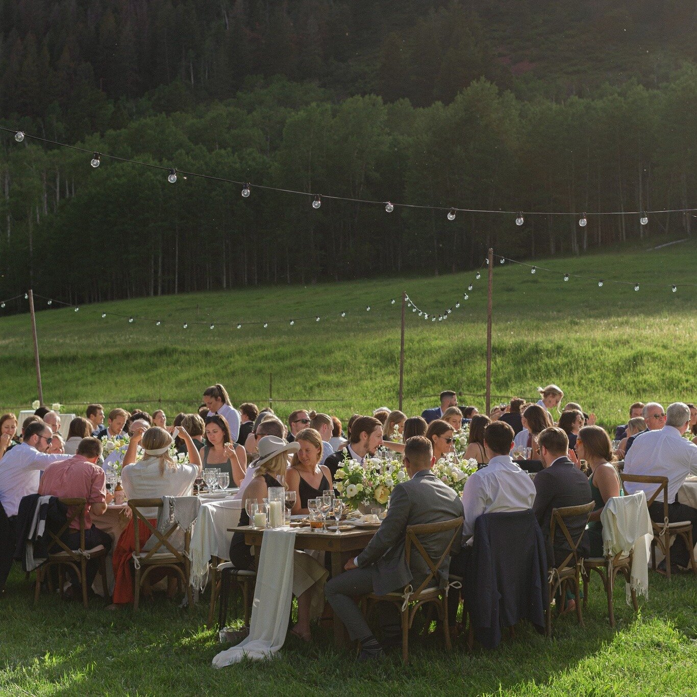 Premier Party Rental