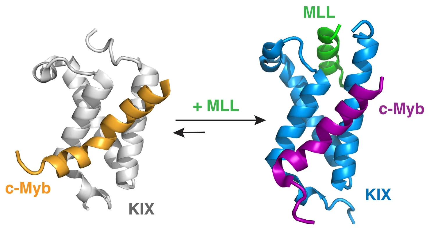Publications — The Berlow Lab