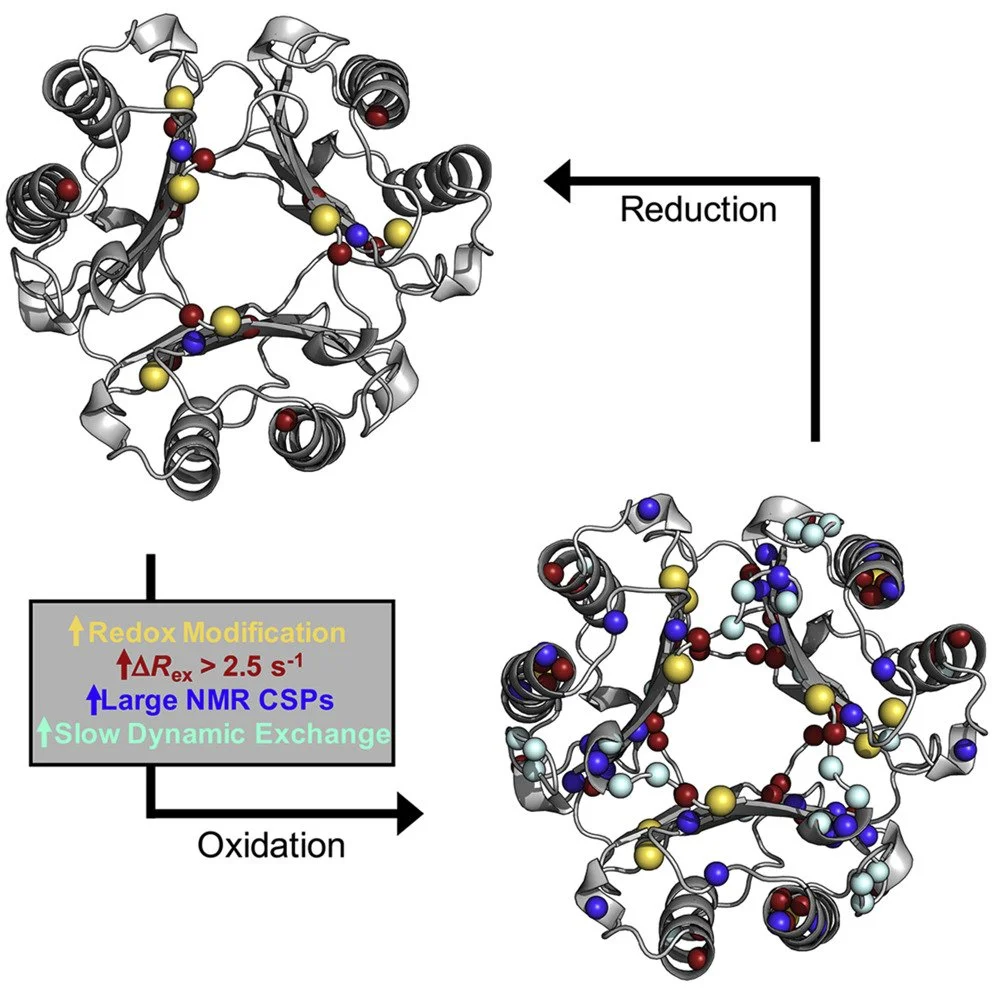Publications — The Berlow Lab