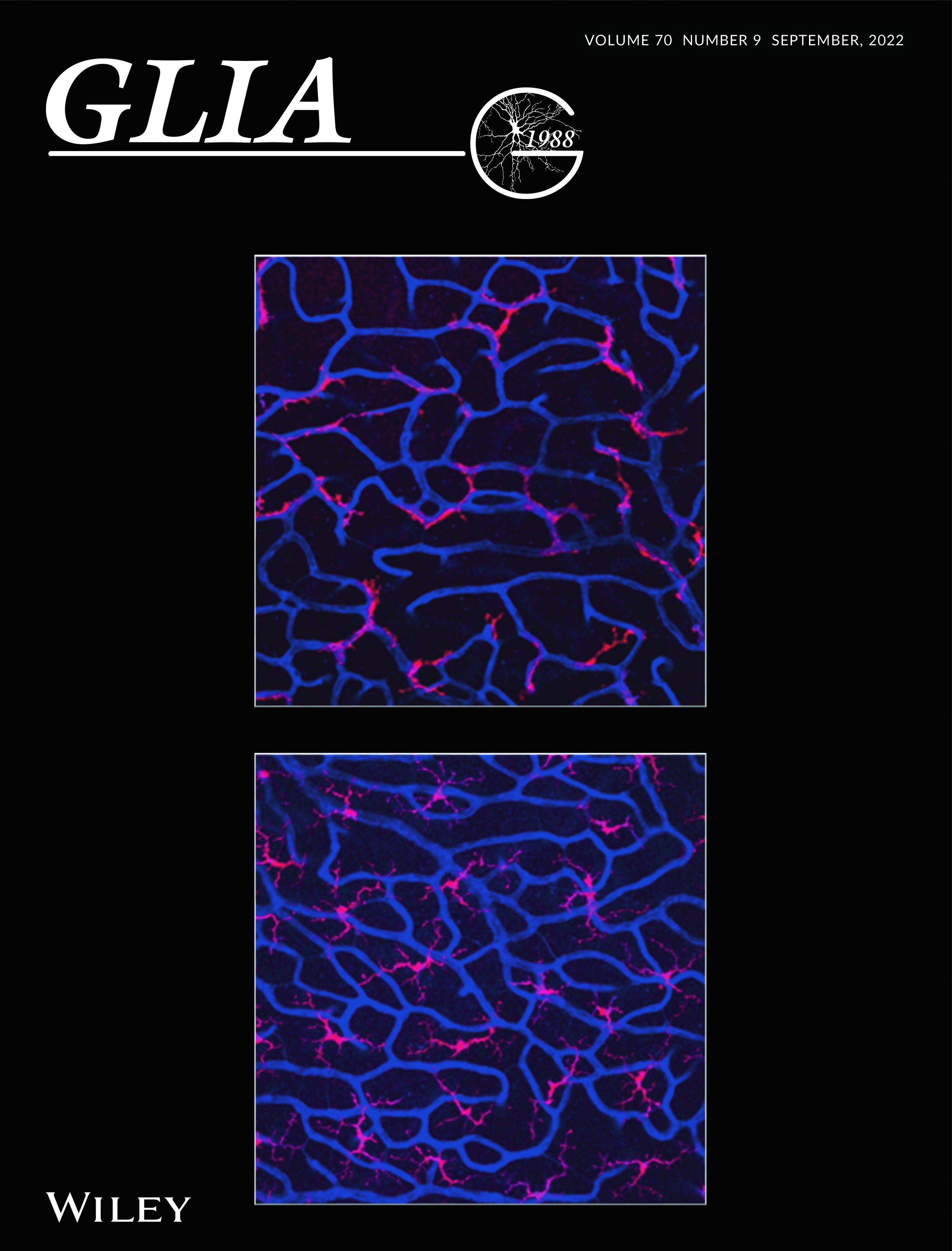 Publications — The Berlow Lab