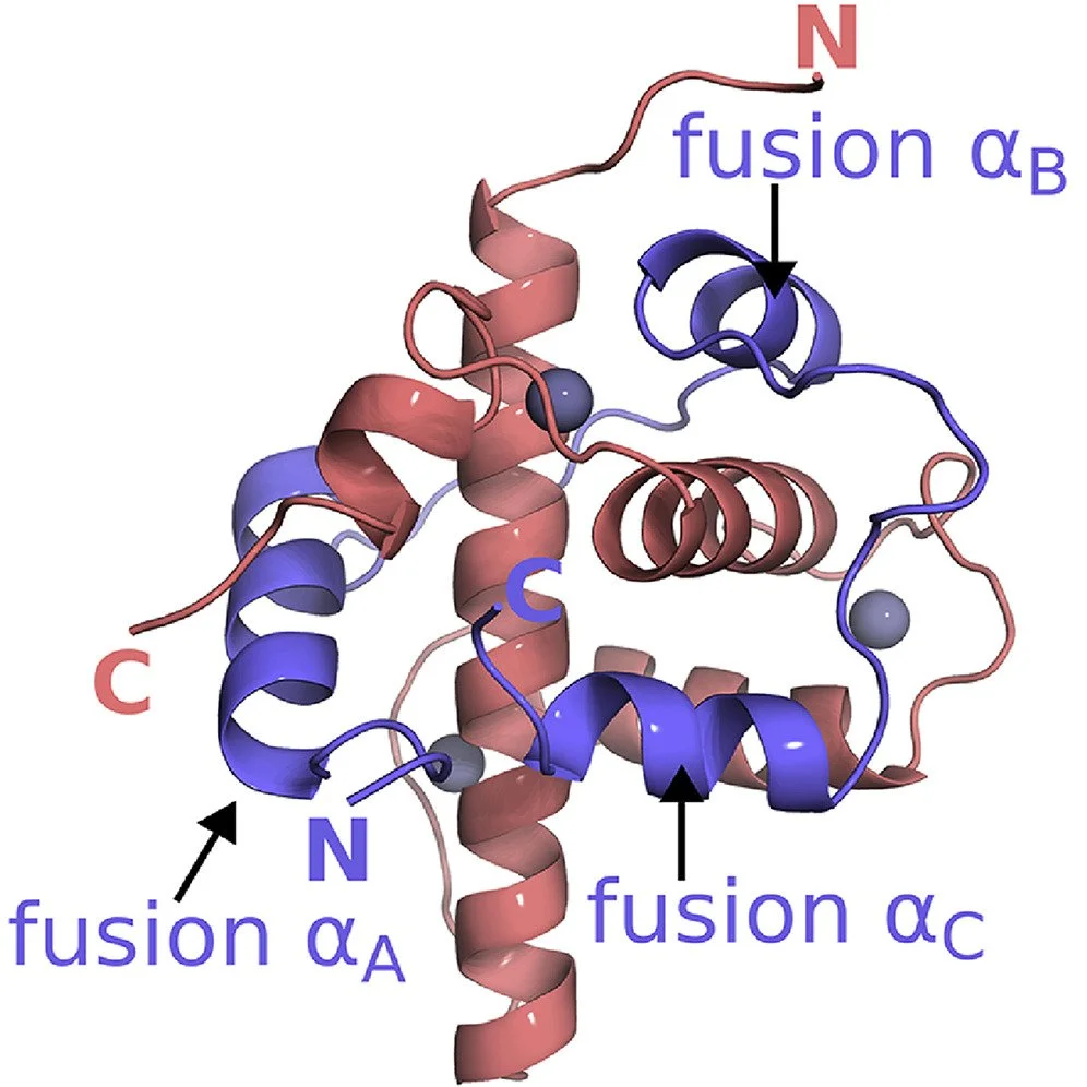 Publications — The Berlow Lab