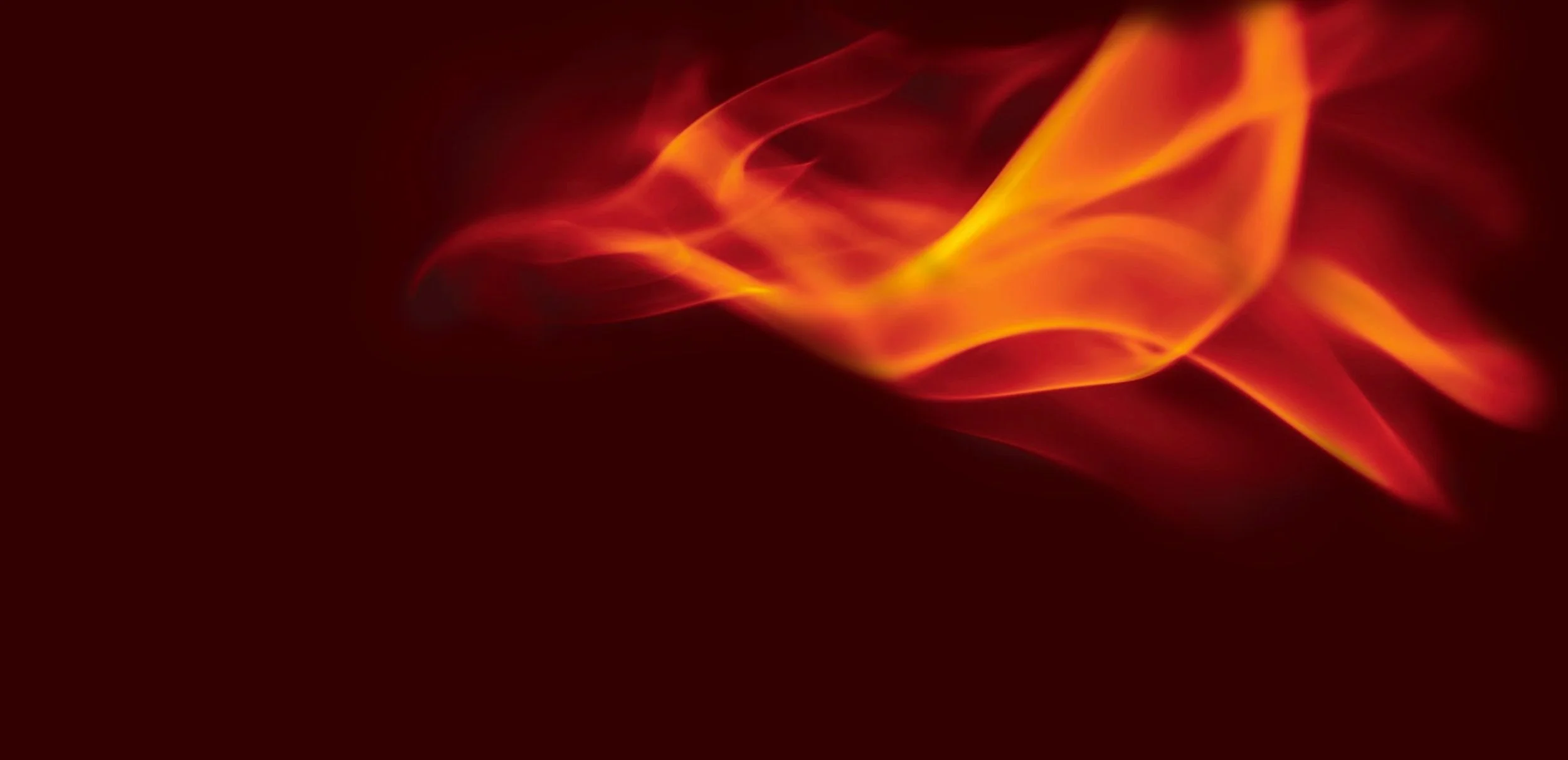 Dr. Burnett — Divergent Pathways