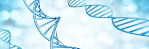 Projects — Humanity+