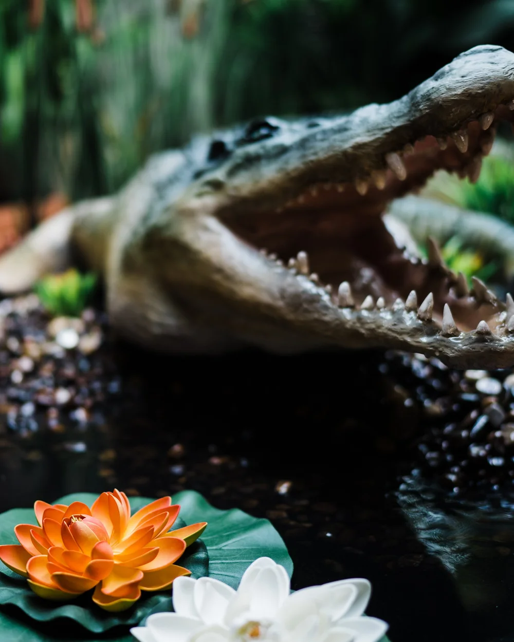 Hotel Crocodile - Boutique Hotel in Downtown Seattle, WA