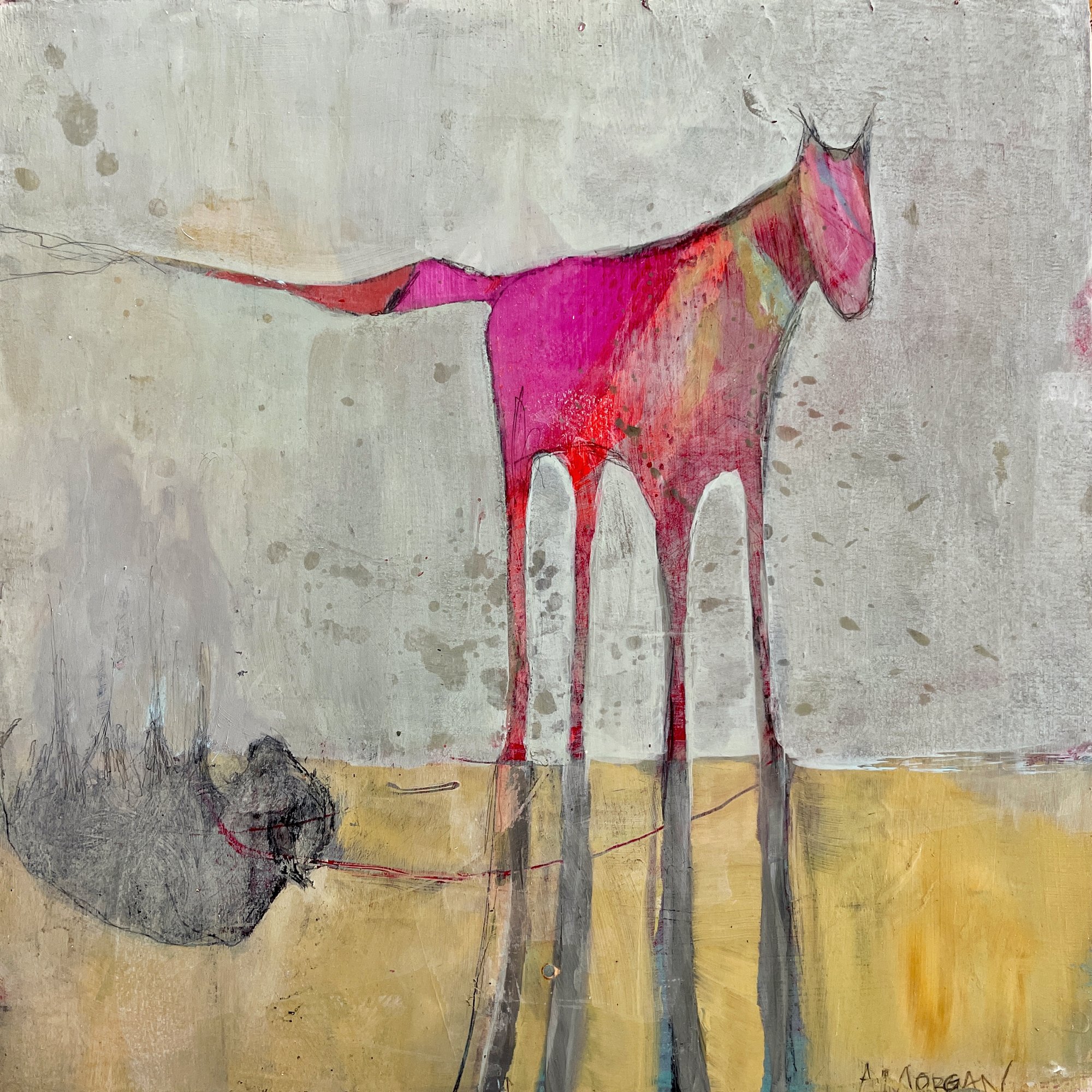 Archive — Andrea Morgan
