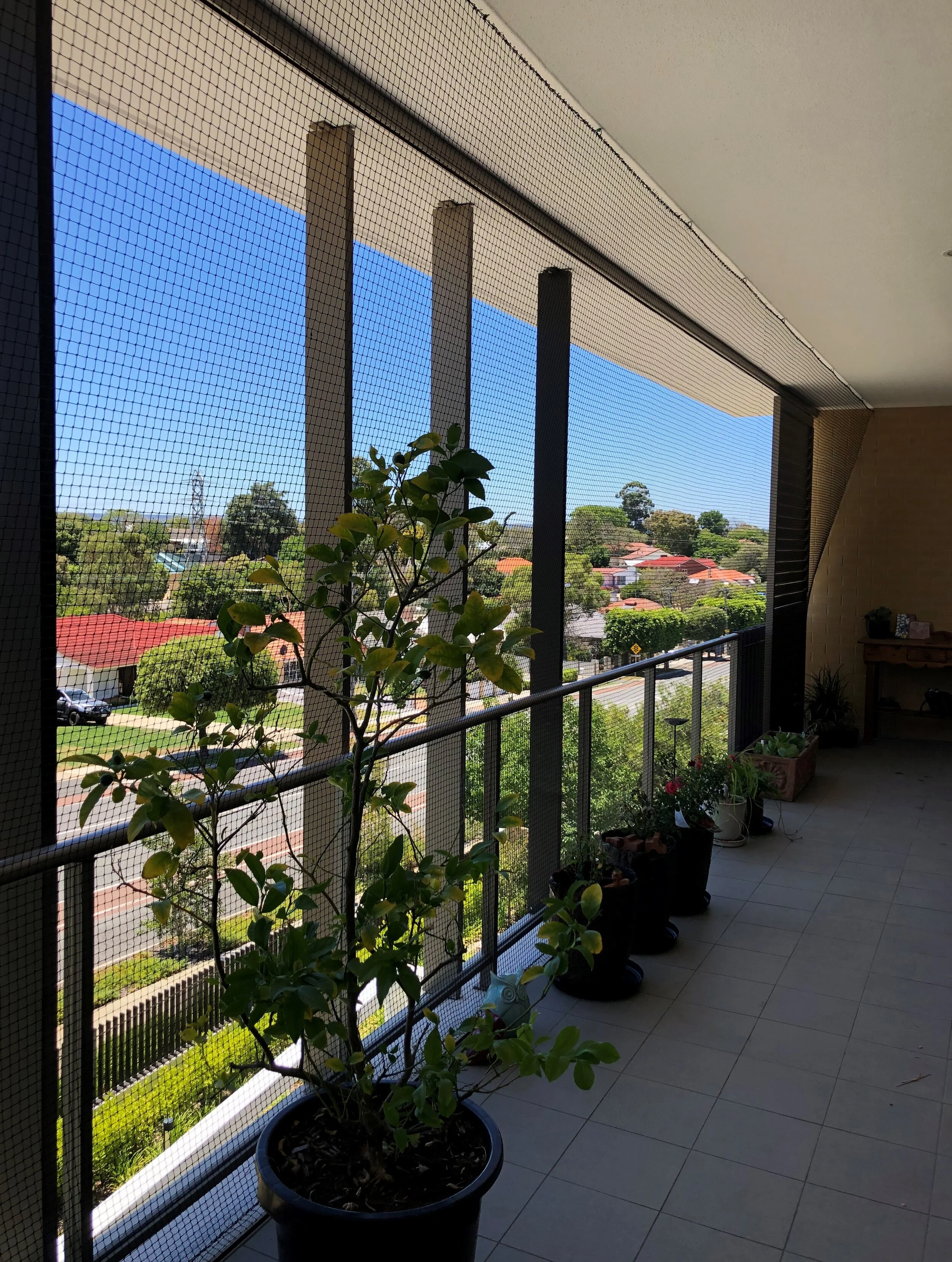 Cat Enclosures — Pet Nets WA