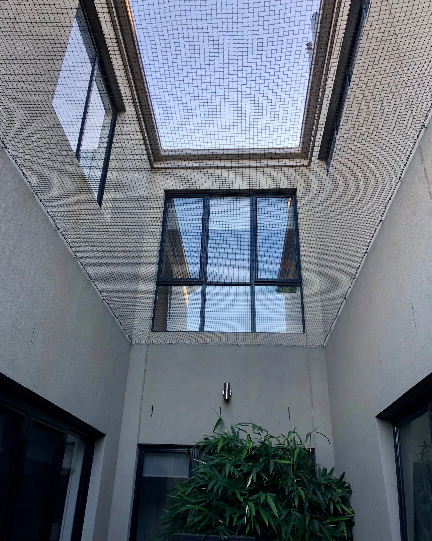 Cat Enclosures — Pet Nets WA