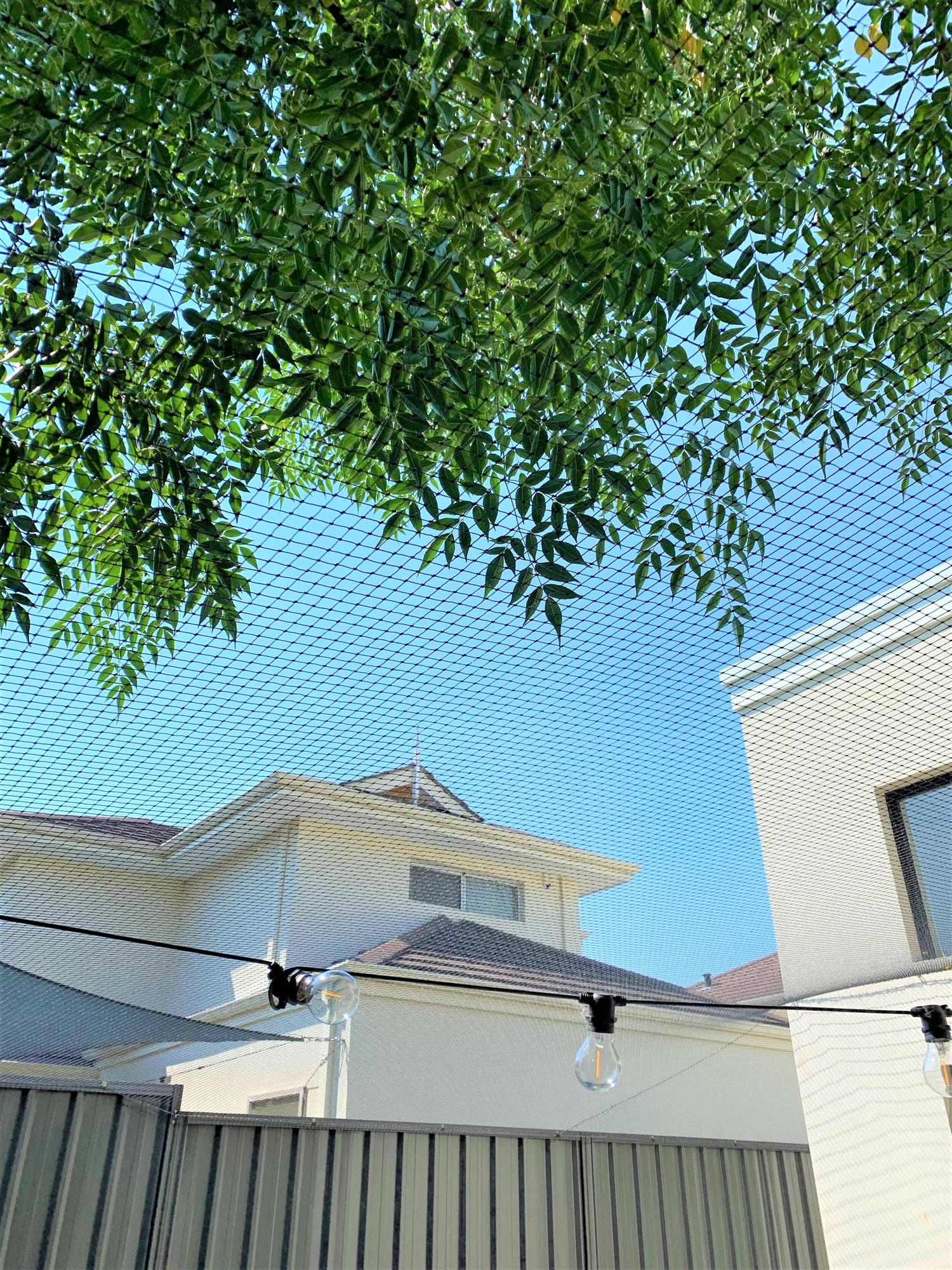 Cat Enclosures — Pet Nets WA Cat Enclosures