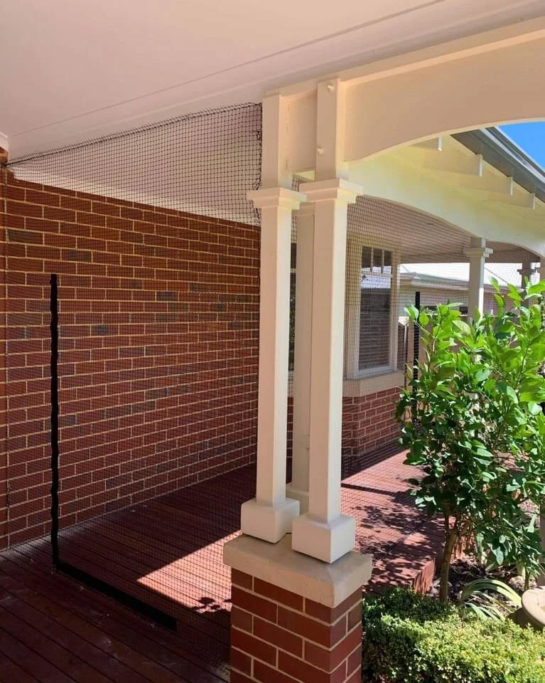 Cat Enclosures — Pet Nets WA