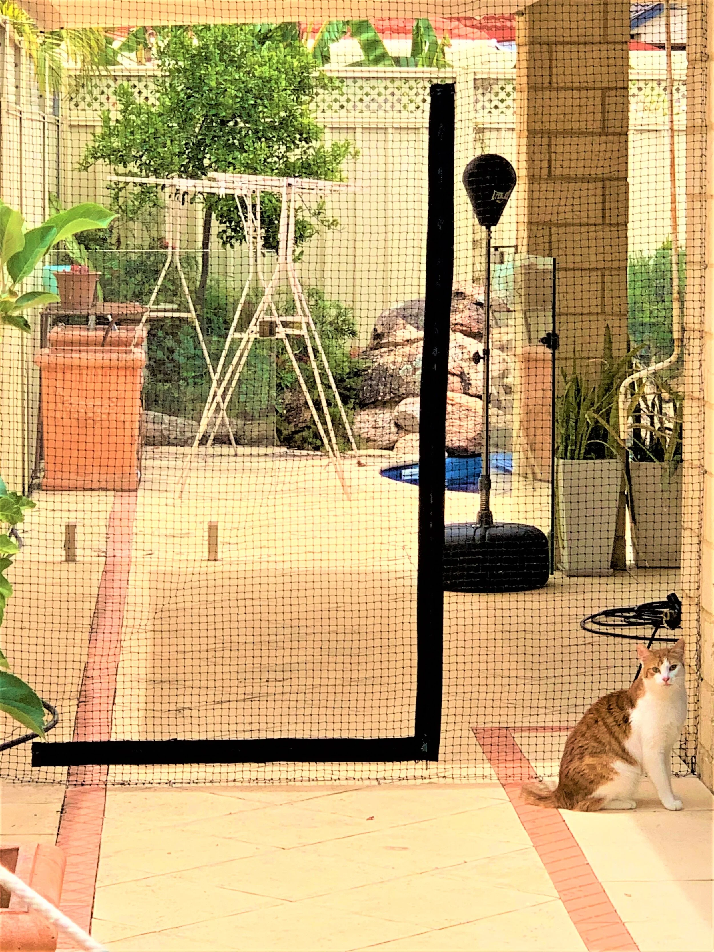 Cat Enclosures — Pet Nets WA