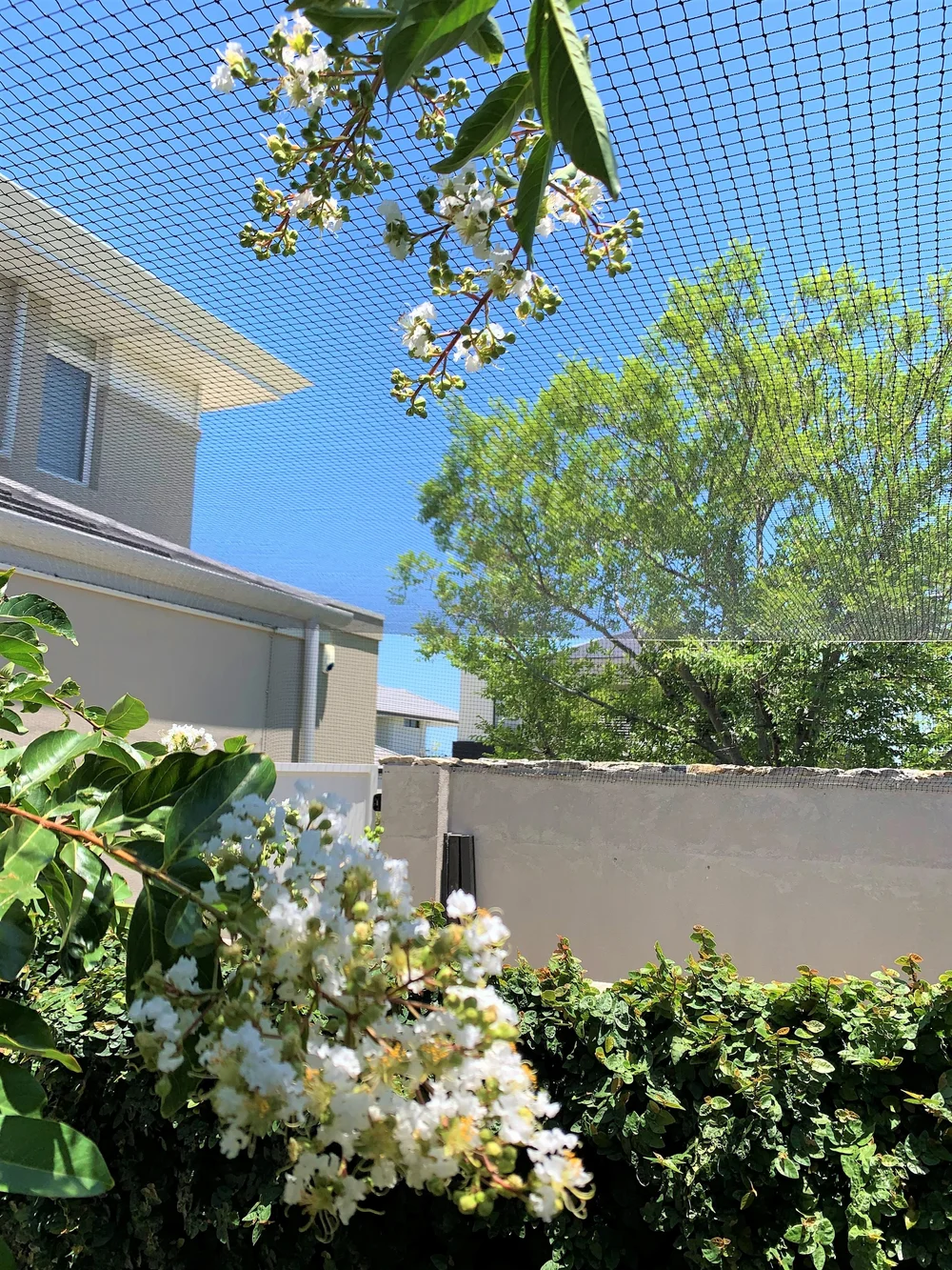 About 3 — Pet Nets WA Cat Enclosures