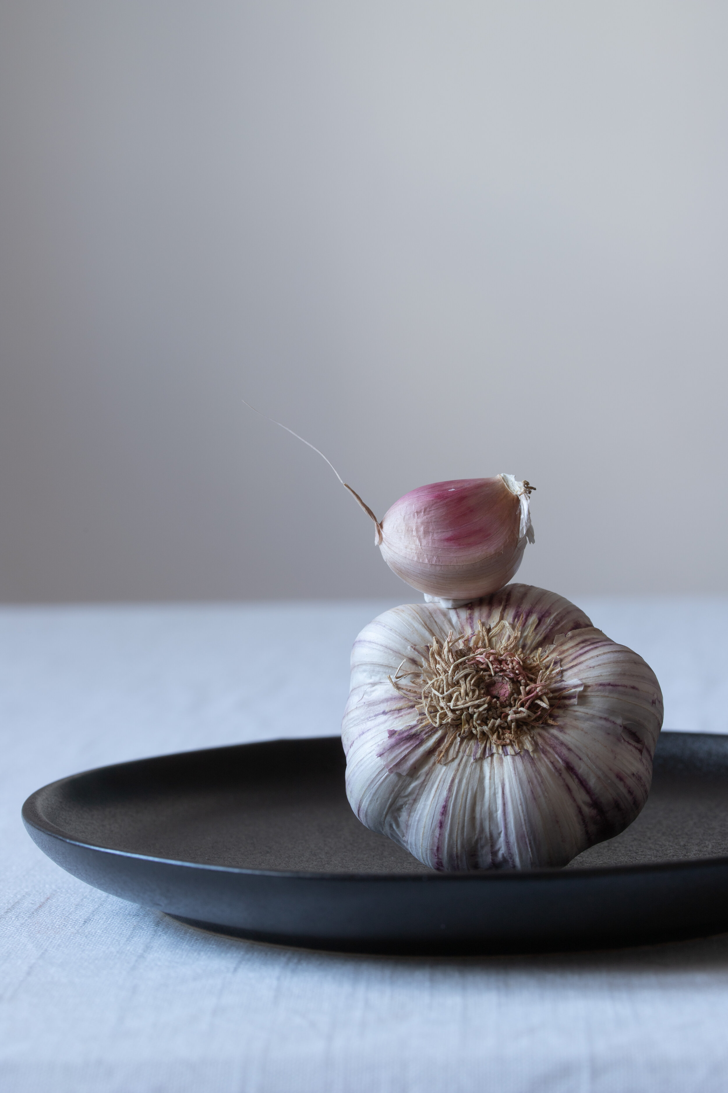 soups — Search our recipe catalogue — French Cooking Academy