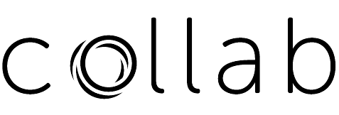 Host VCs — Black Venture Capital Consortium