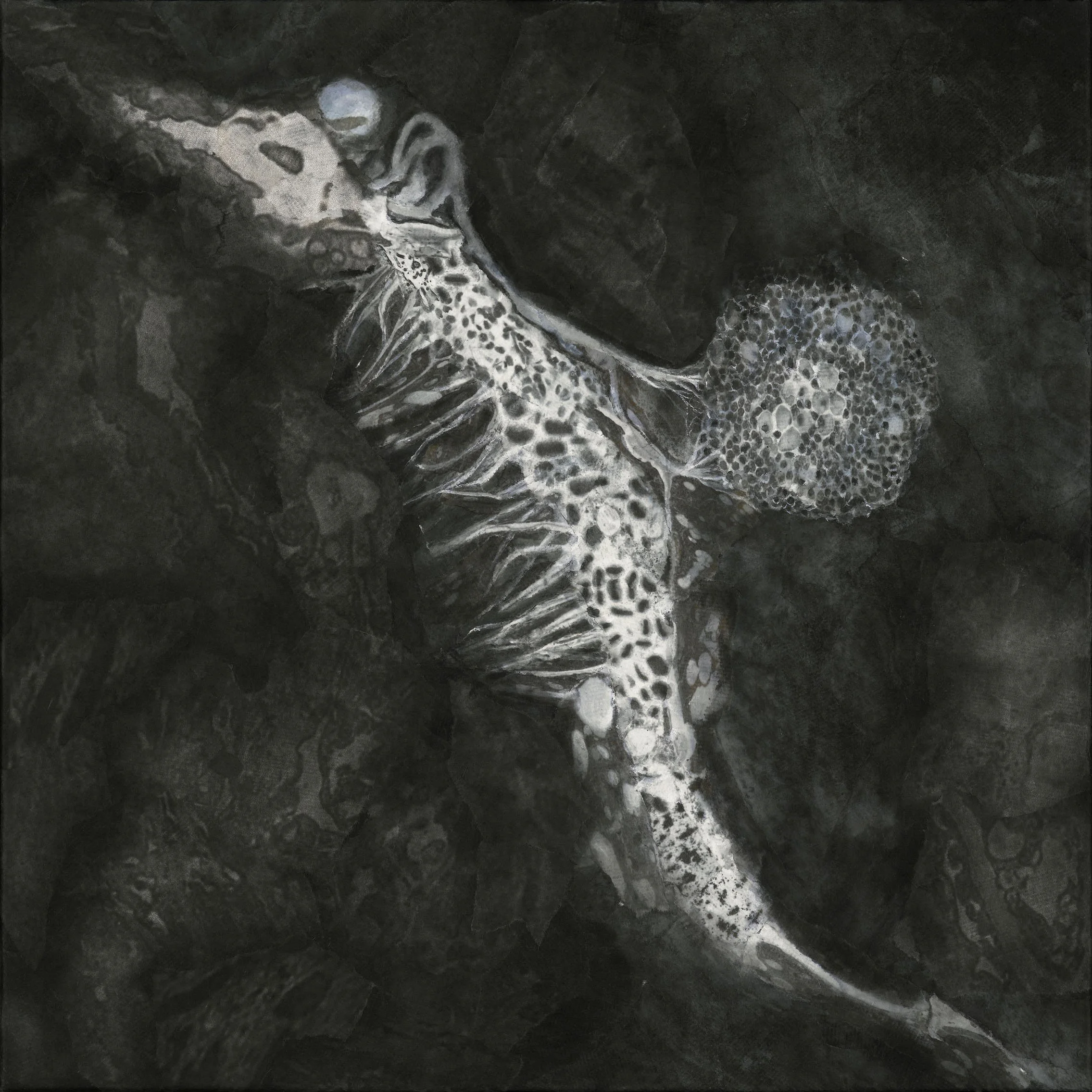 2022 Ling Pui Sze solo — GROTTO