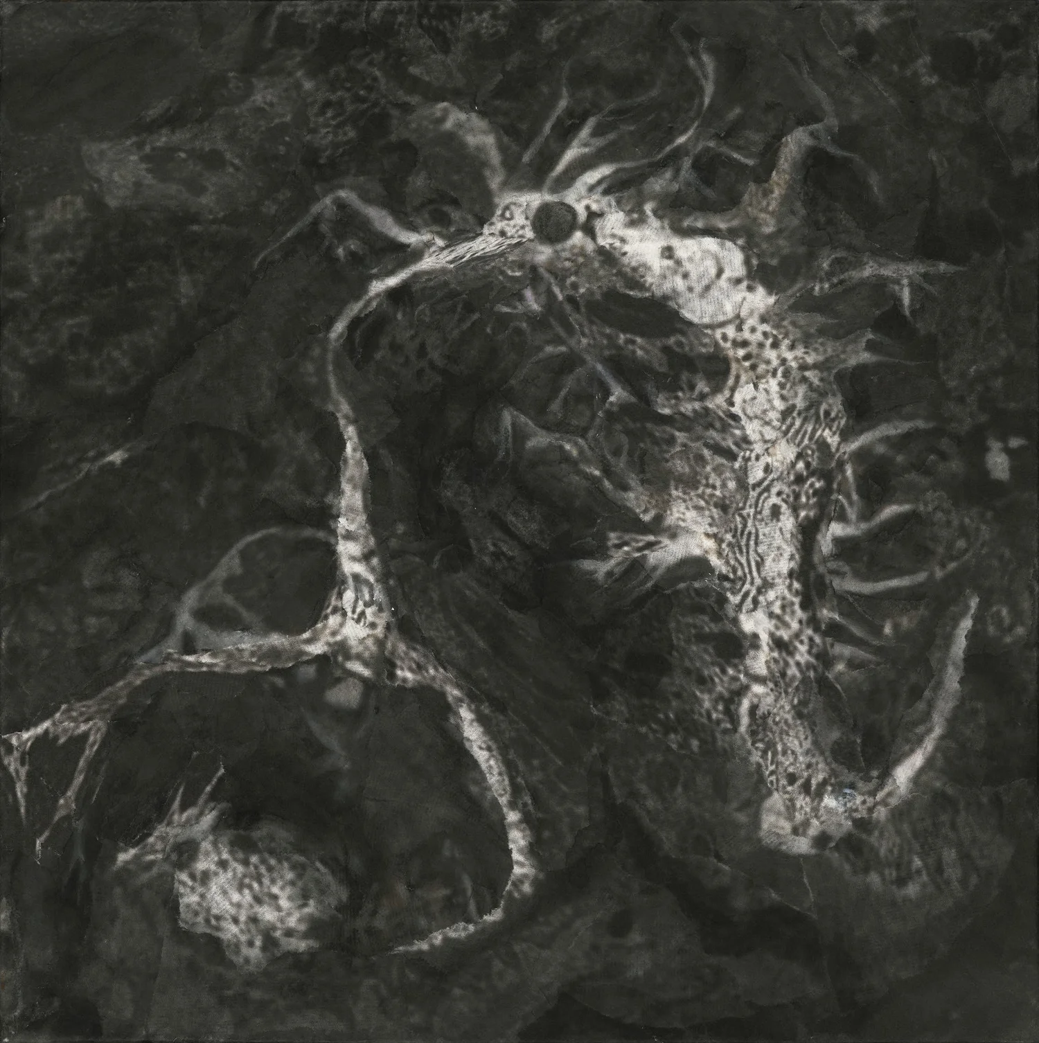 2022 Ling Pui Sze solo — GROTTO