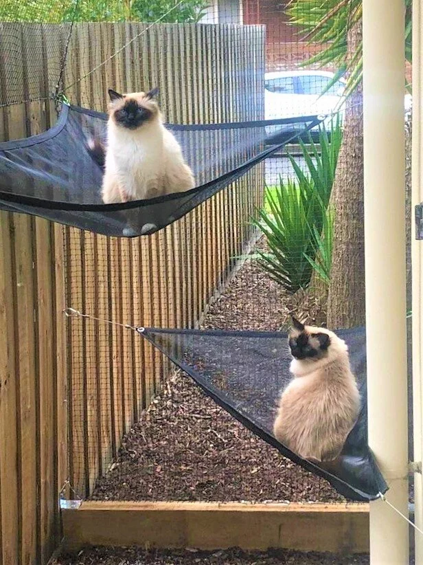 Gallery — Pet Nets Victoria Cat Enclosures