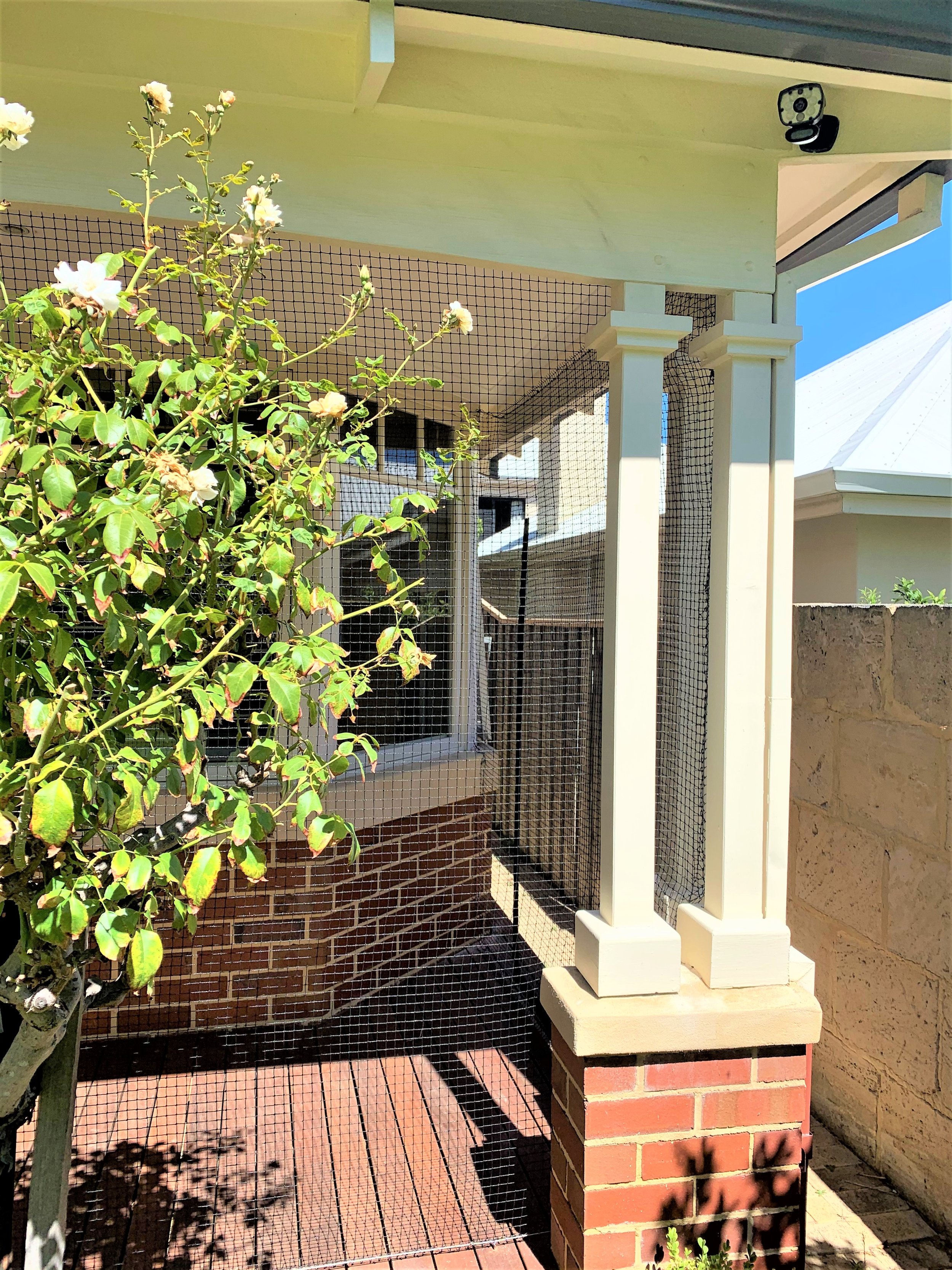 Gallery — Pet Nets Victoria Cat Enclosures