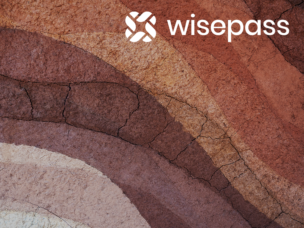 The data segmentation challenge for beverage brands — WisePass