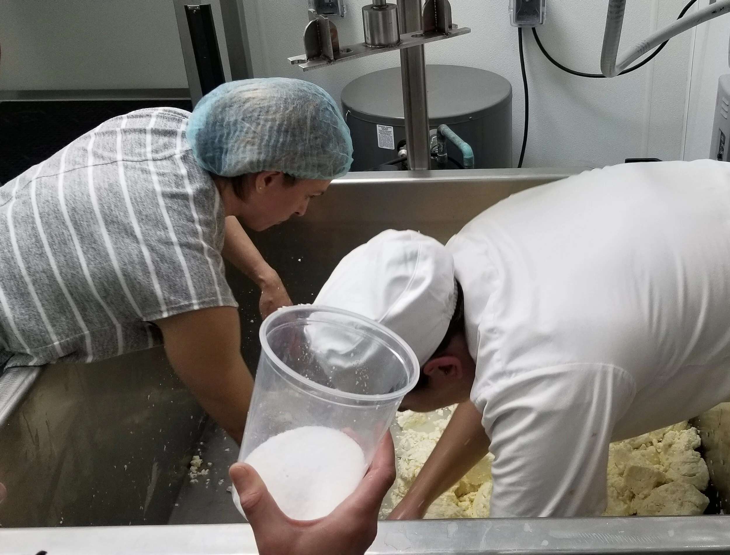 Hands On Cheesemaking Class - Fresh Cheeses — River Whey Creamery