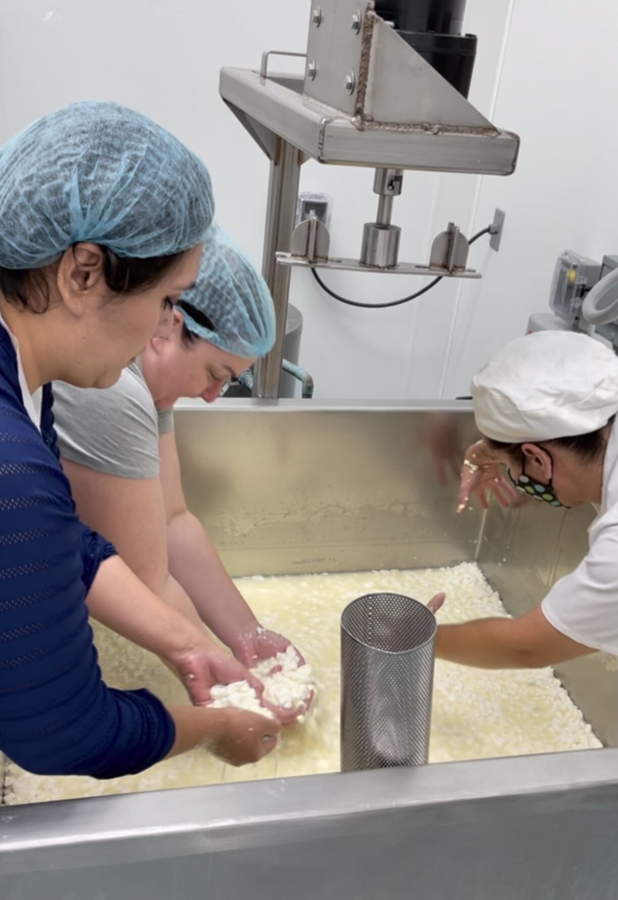 Hands On Cheesemaking Class - Fresh Cheeses — River Whey Creamery