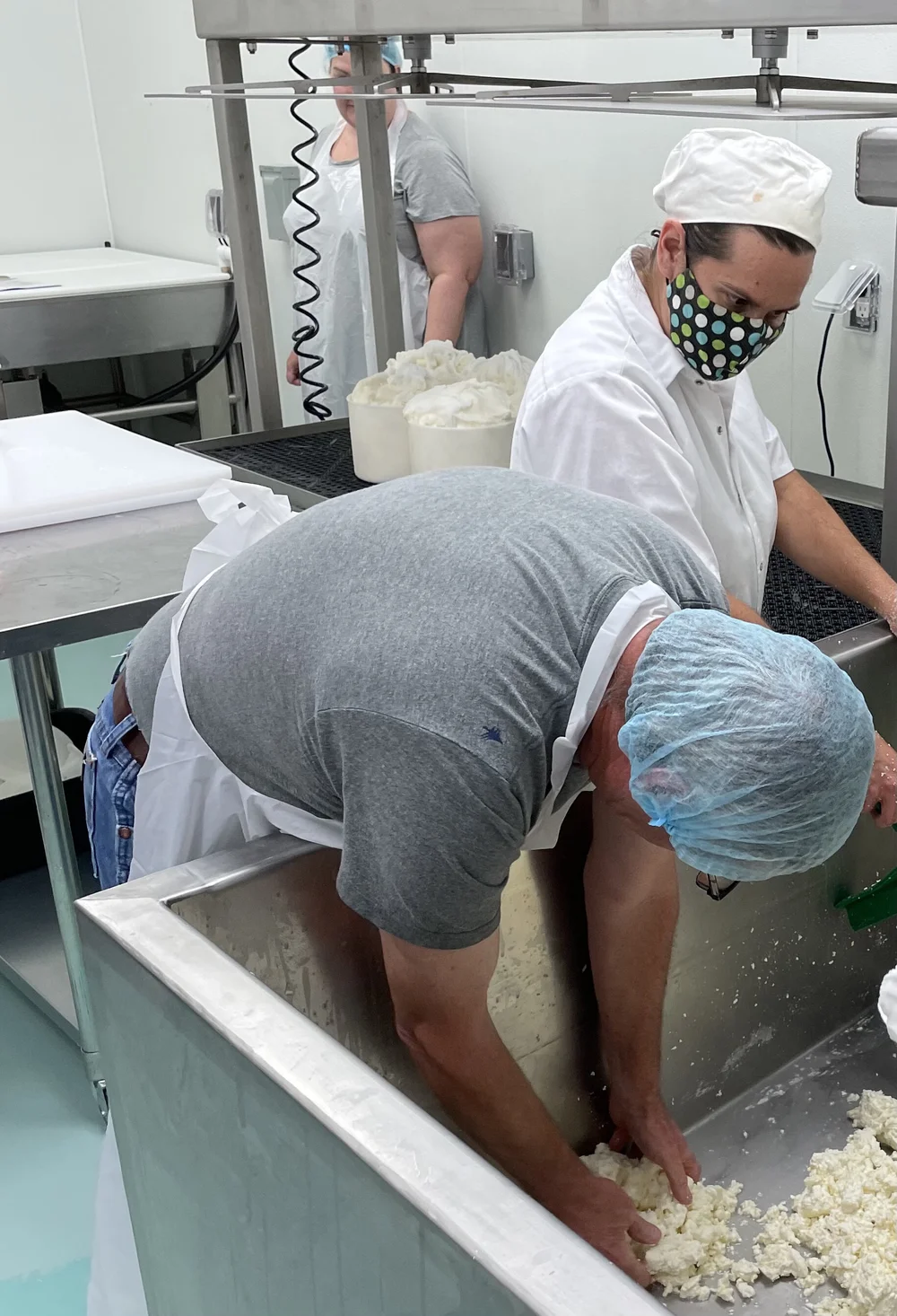 Hands On Cheesemaking Class - Fresh Cheeses — River Whey Creamery