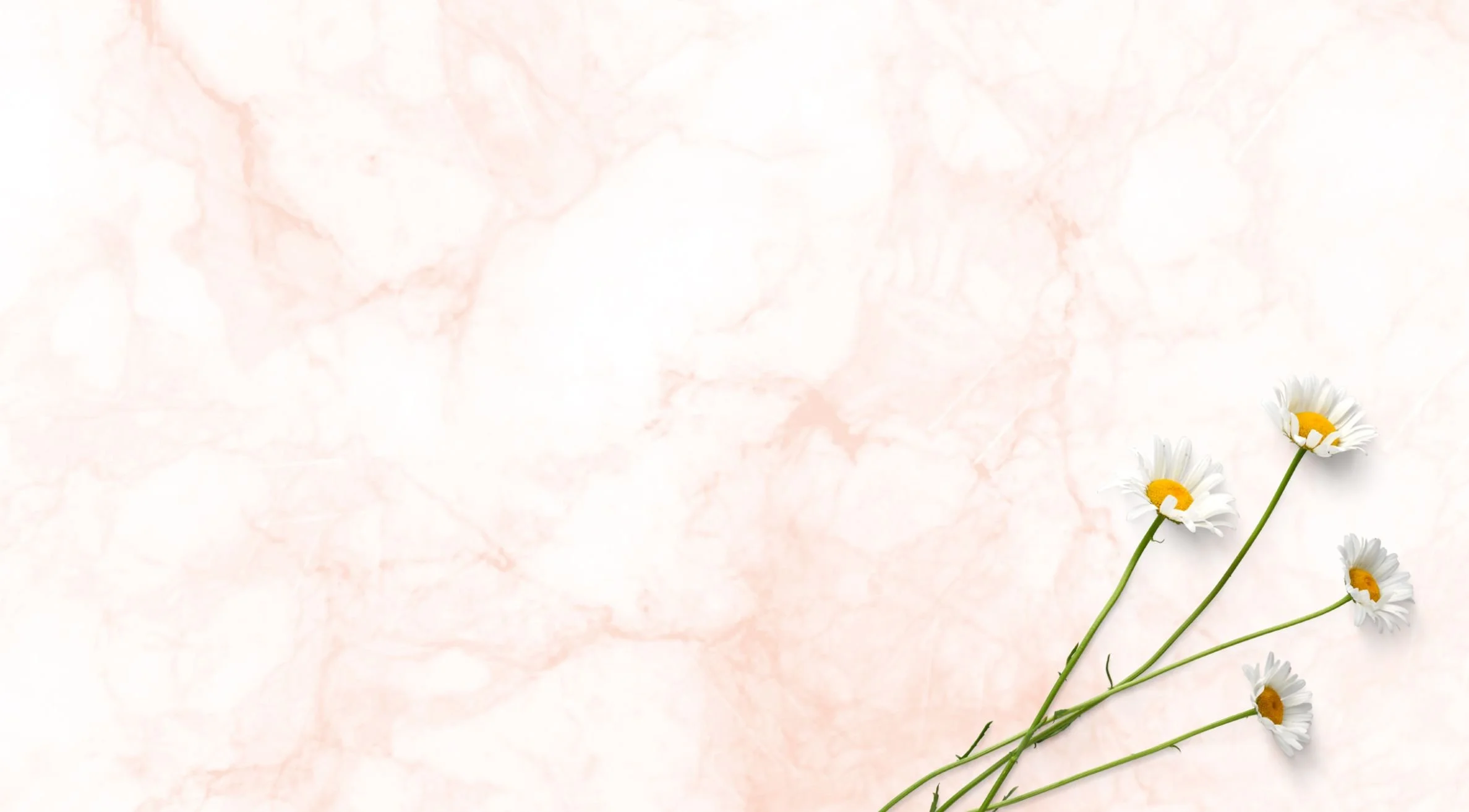 Professional Color Analysis at Home! — Rise Styling