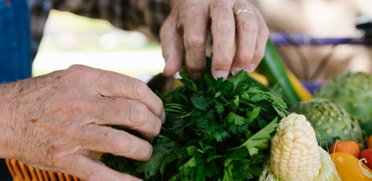 Good Neighbors | Surplus Food Sharing