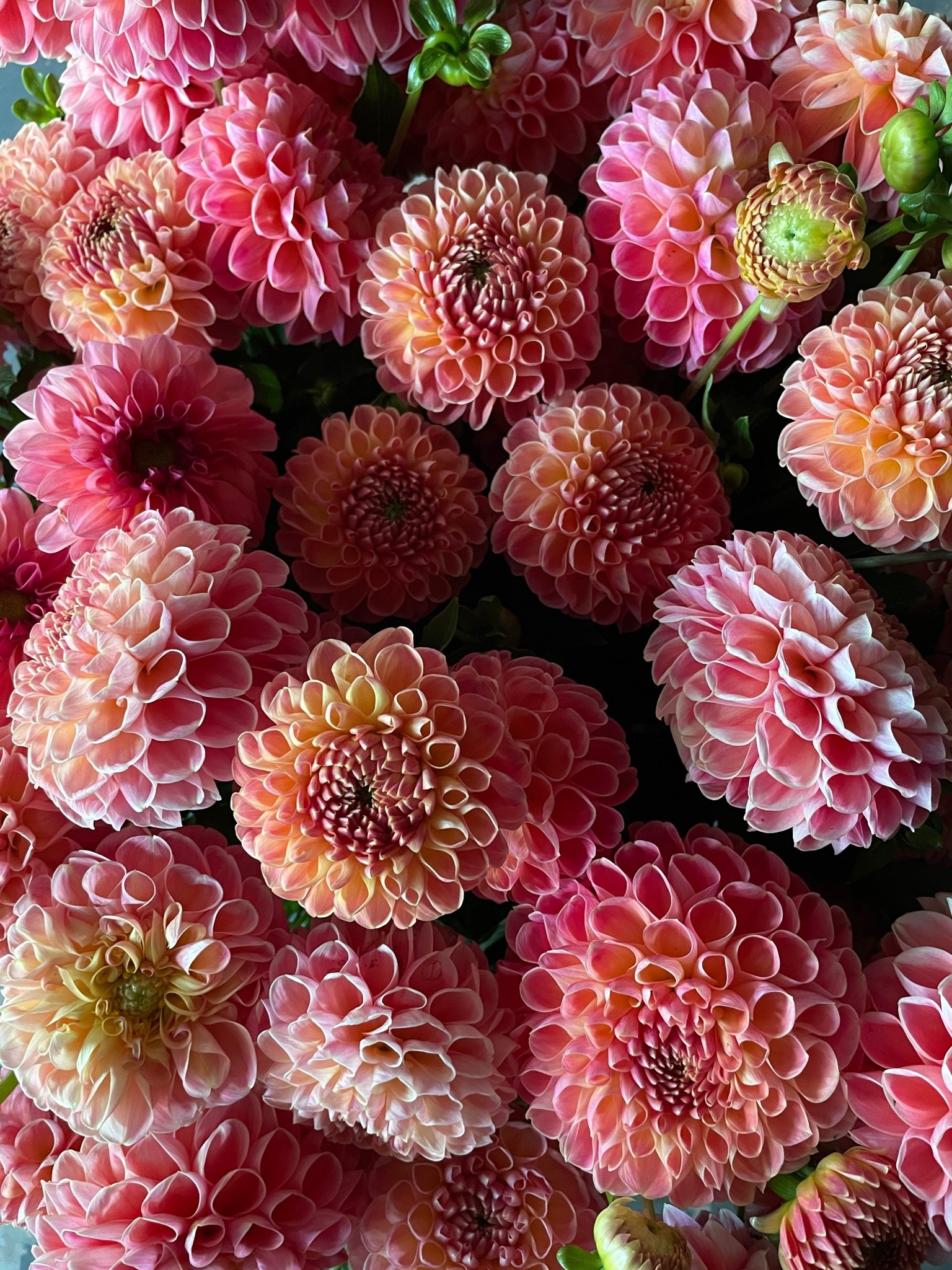 Why Seasonal + Local Flowers Save You Money on Your Wedding — Twig ...