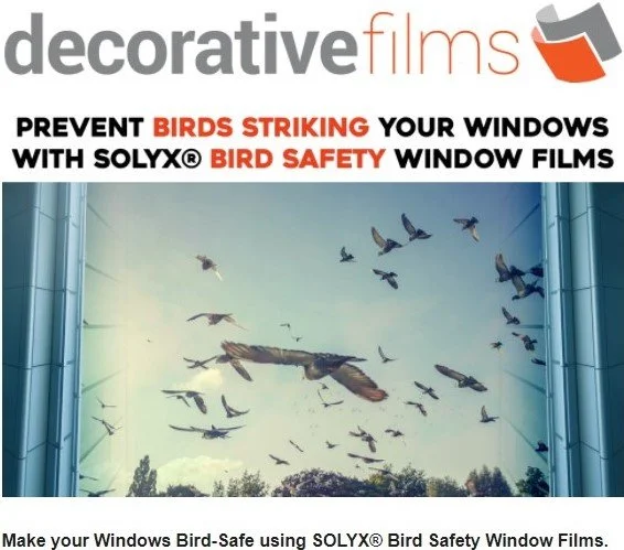 BIRD SAFETY WINDOW FILM — S&T Window Films