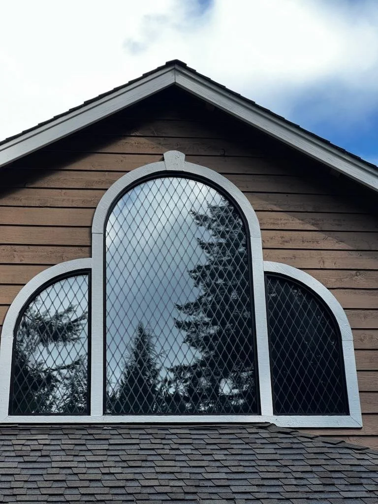 Protecting Migratory Birds: A Call for Bird-Friendly Windows — S&T ...