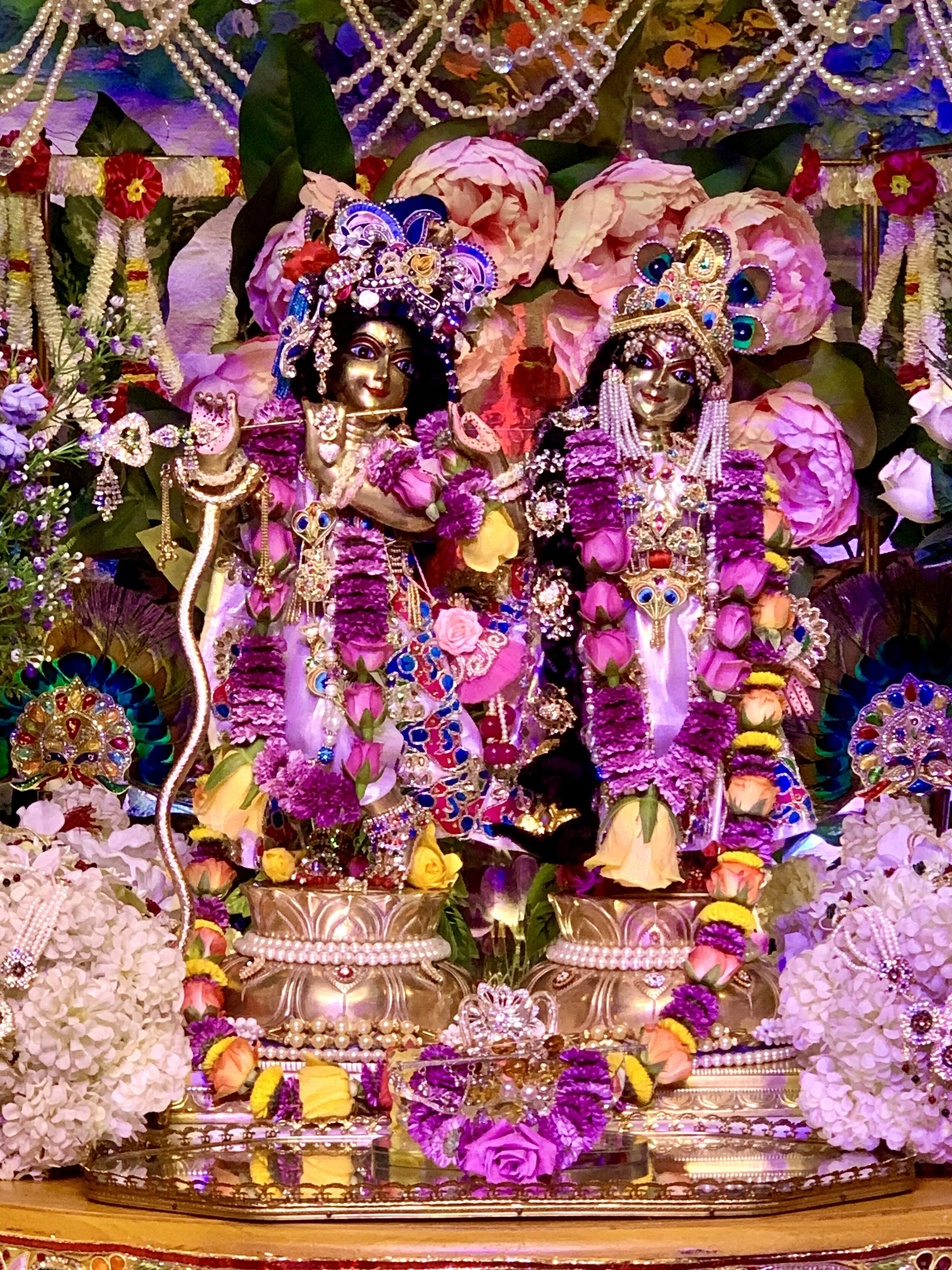 SRI RADHA BHAKTI