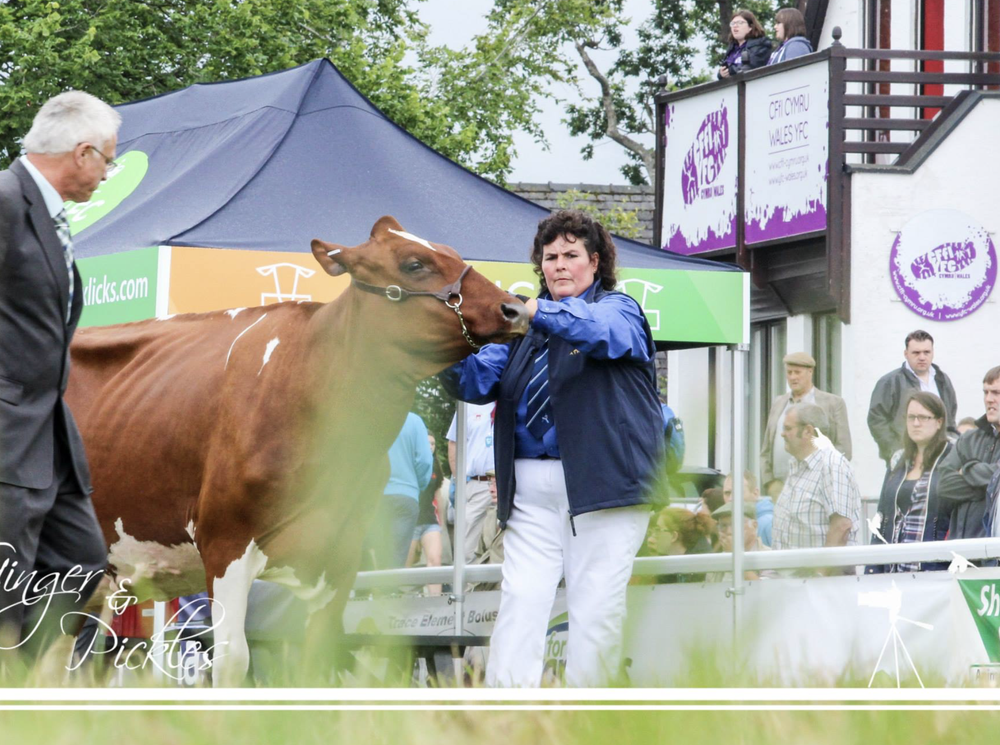 About Us — horsepool farm shop