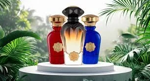 Top 10 Fresh Perfumes 2026 (Best Clean & Refreshing Fragrances USA ...