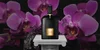 Best Night Out Perfumes 2026 (Bold & Long Lasting Fragrances USA ...