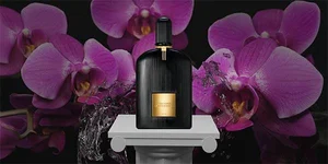 Best Night Out Perfumes 2026 (Bold & Long Lasting Fragrances USA ...