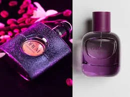 Best Zara Perfume Dupes of Designer Fragrances – Affordable ...