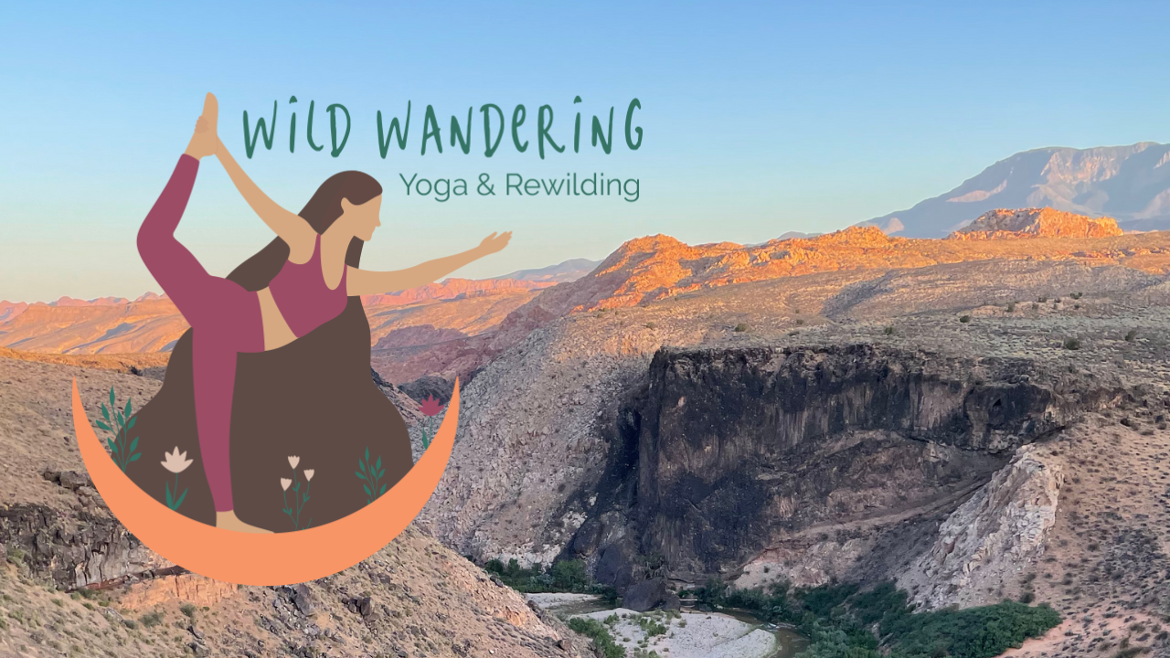 Morning Challenge — Wild Wandering Life