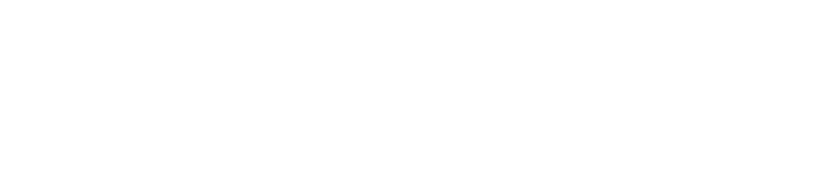 Clinical Viewer — BIG SKY CARE CONNECT