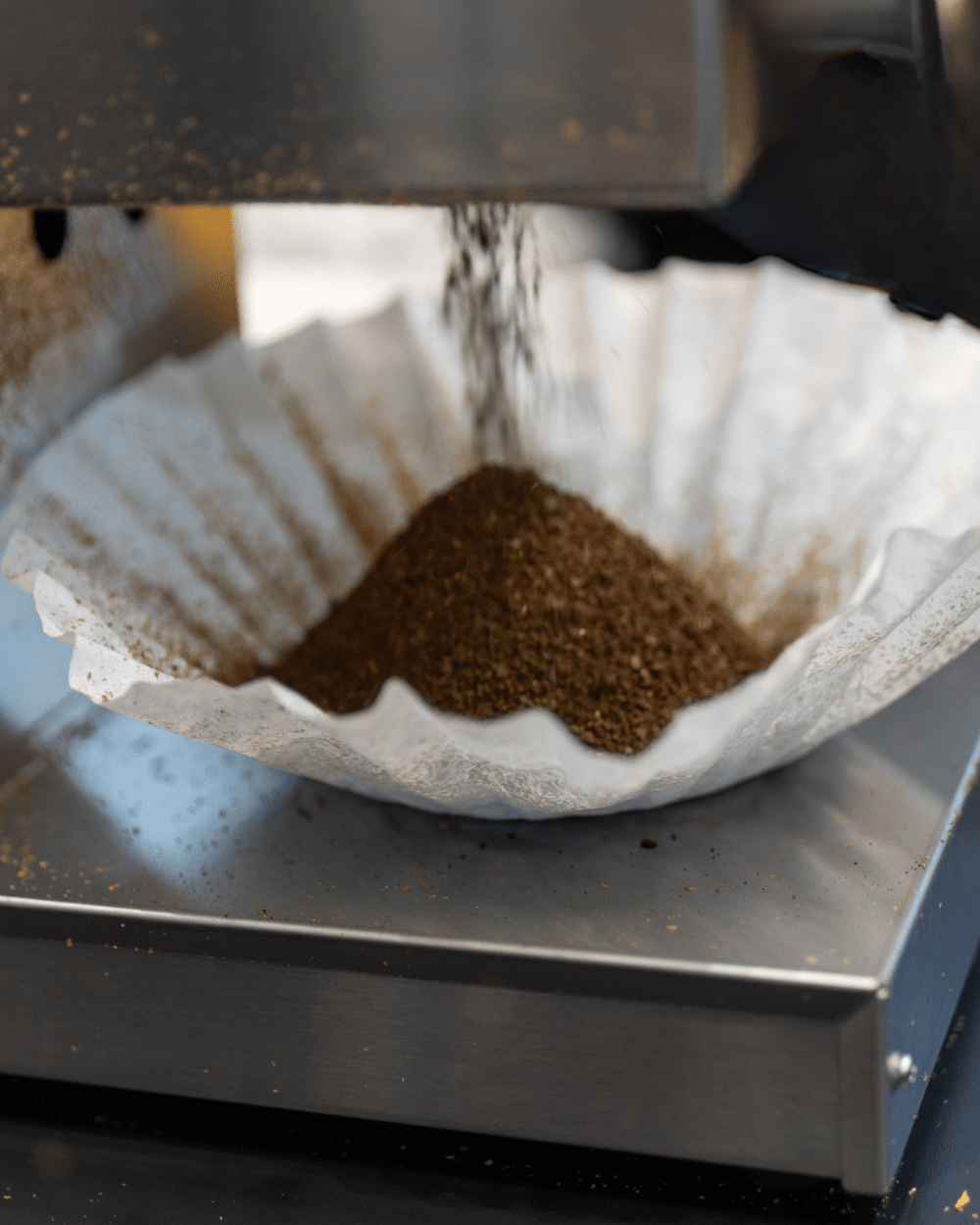 Coffee Grinders — FETCO®