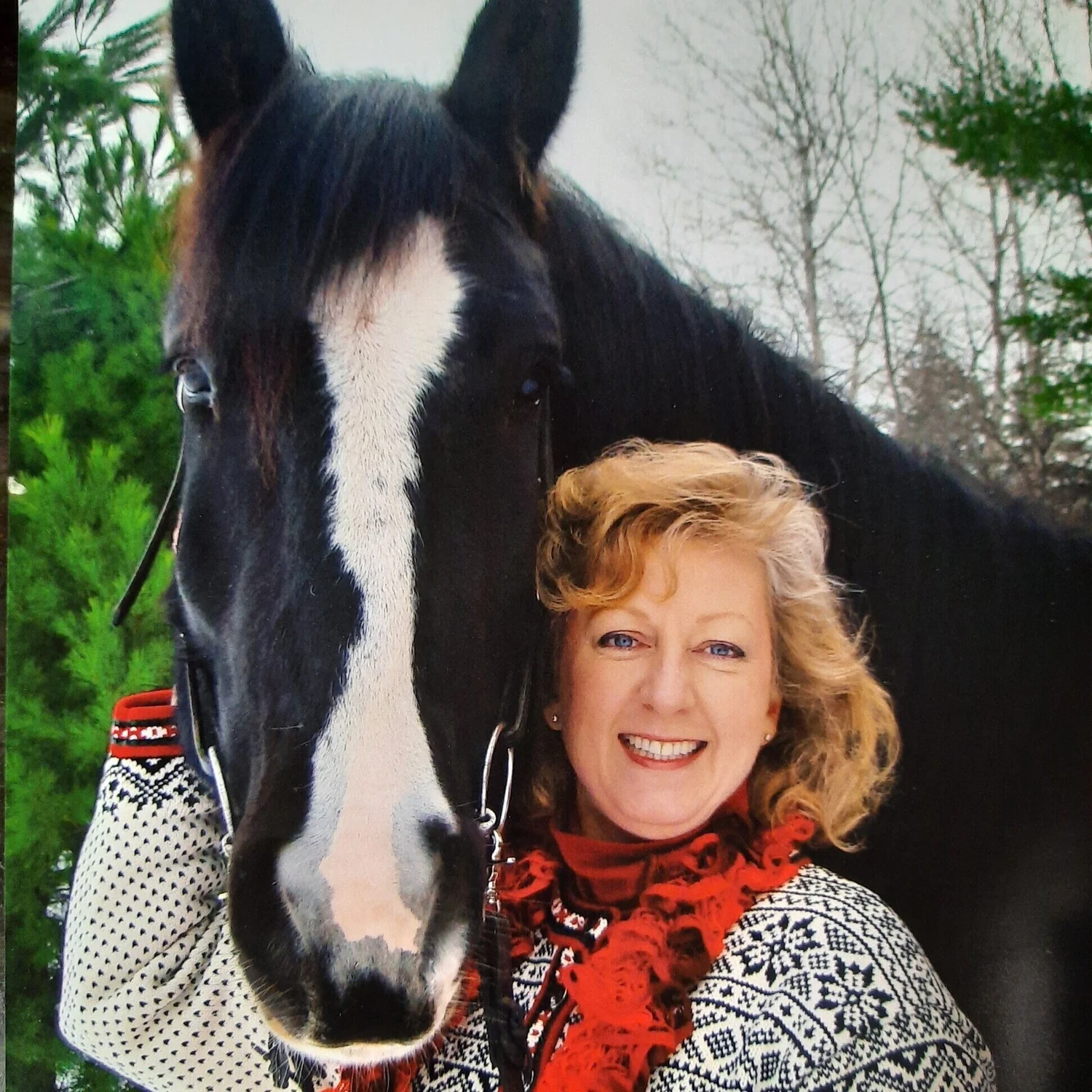 This is our wonderful staff of volunteers! — Horse North Rescue