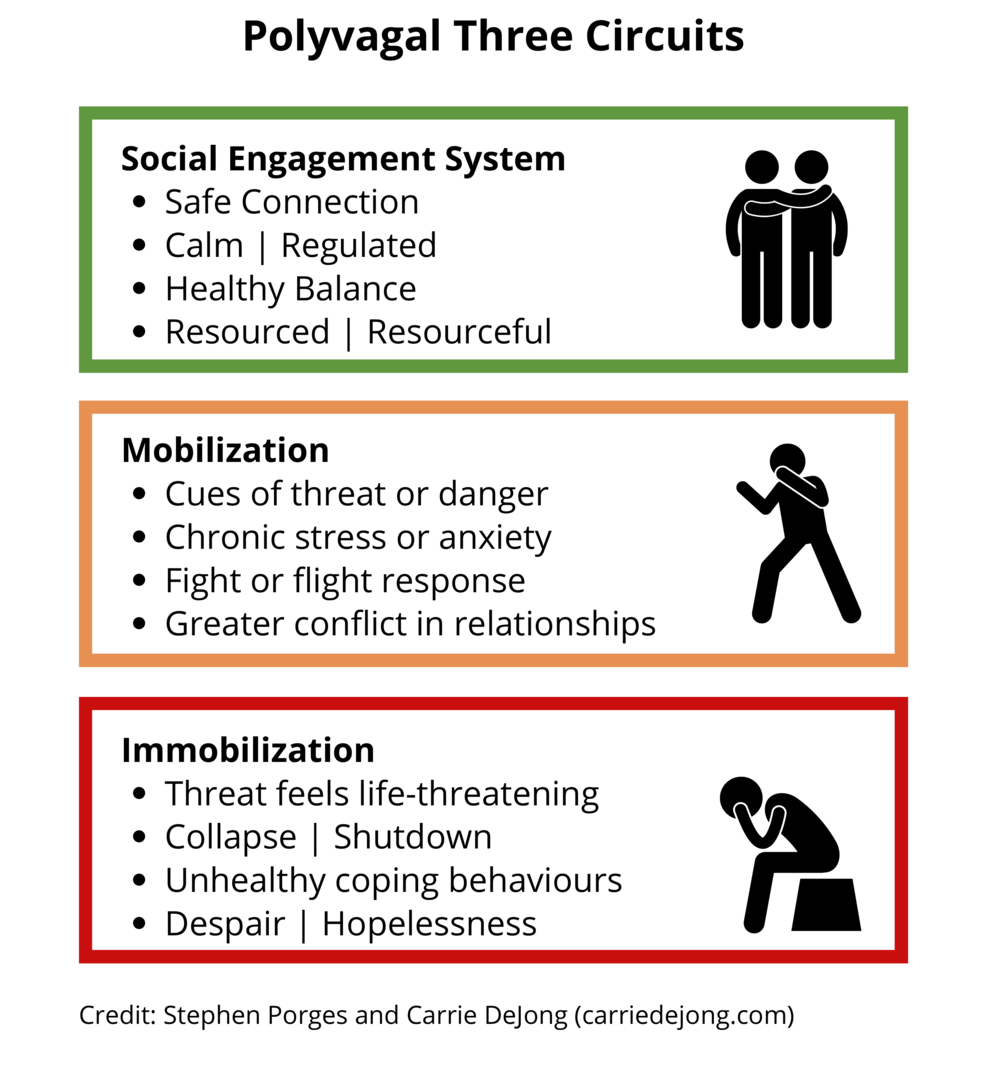 Poly Vagal Theory and Trauma