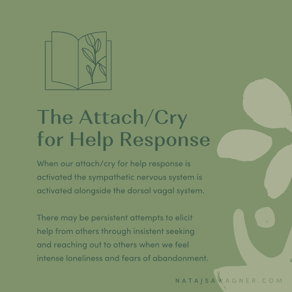 What Are Trauma Responses?