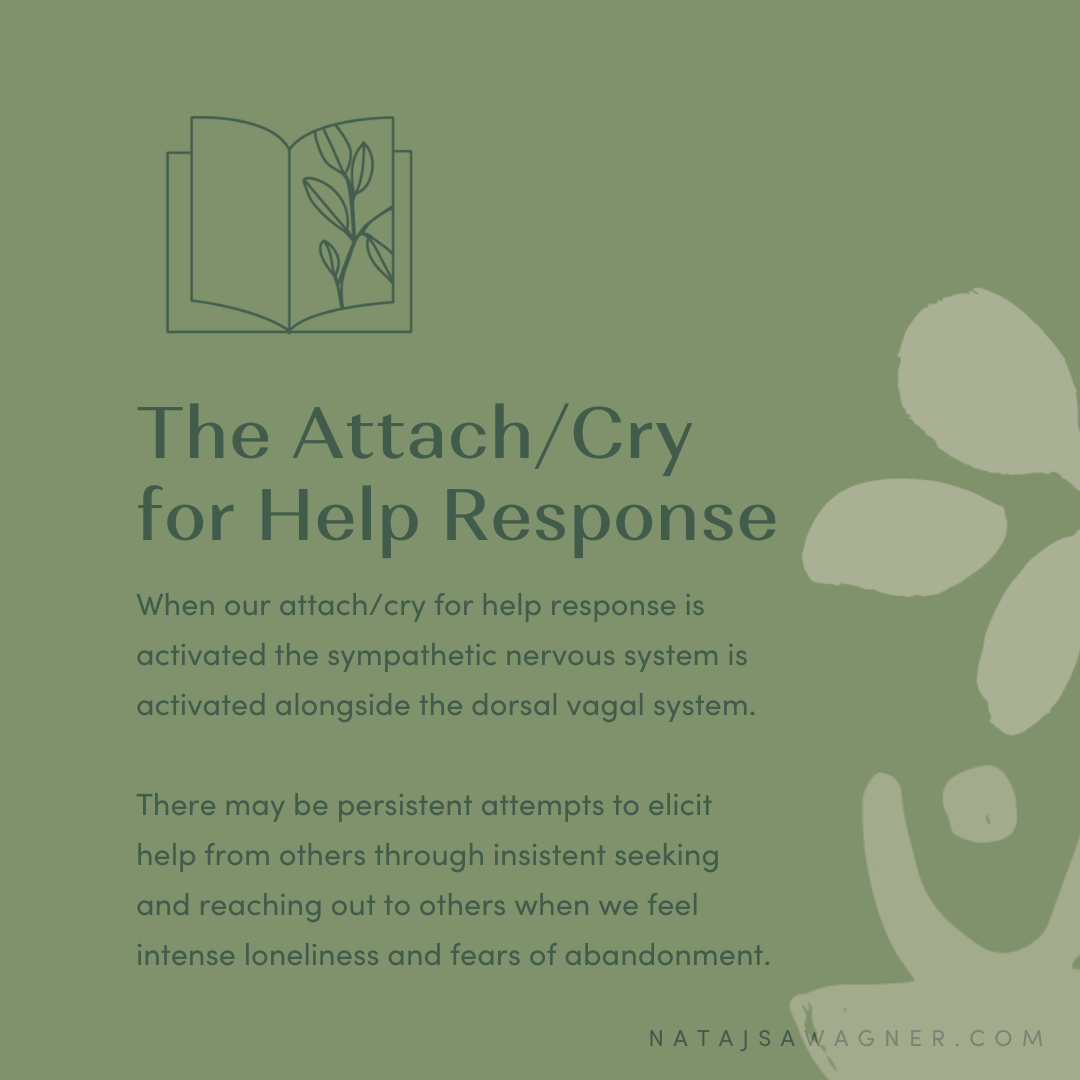 What Are Trauma Responses?