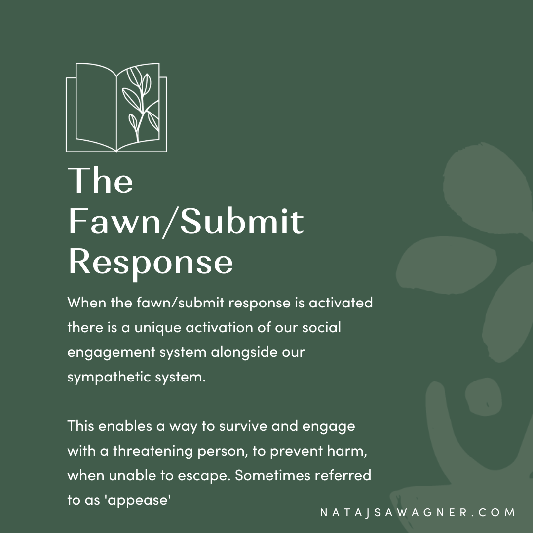 What Are Trauma Responses?